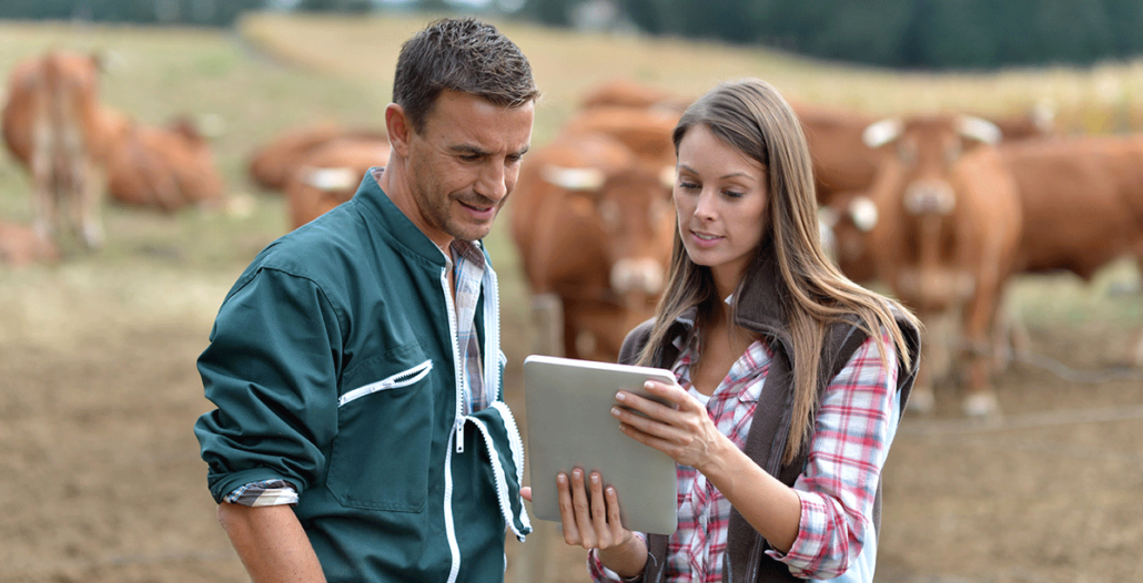 Presse | Réseau Motival