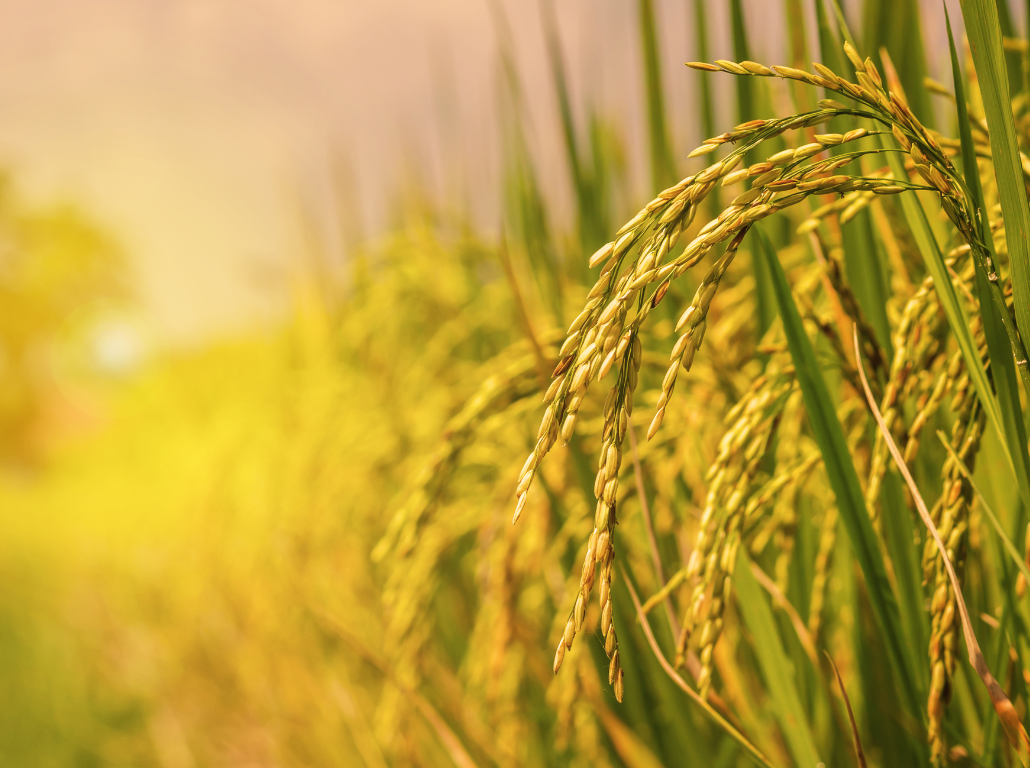 5 temps pour remettre sur pied un équipe | Réseau Motival